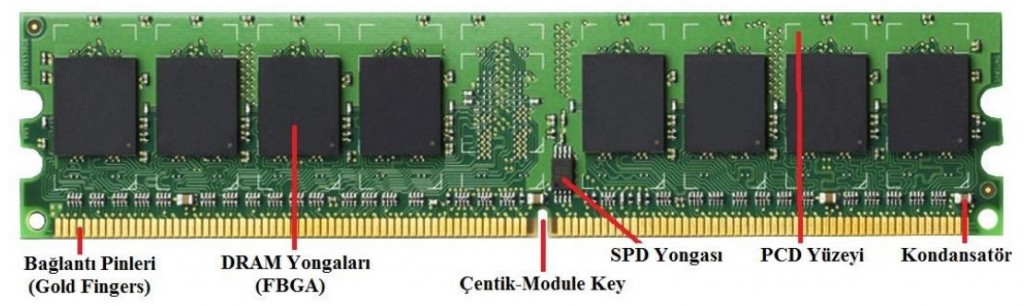 RAM Nedir? Ne İşe Yarar? » TechWorm