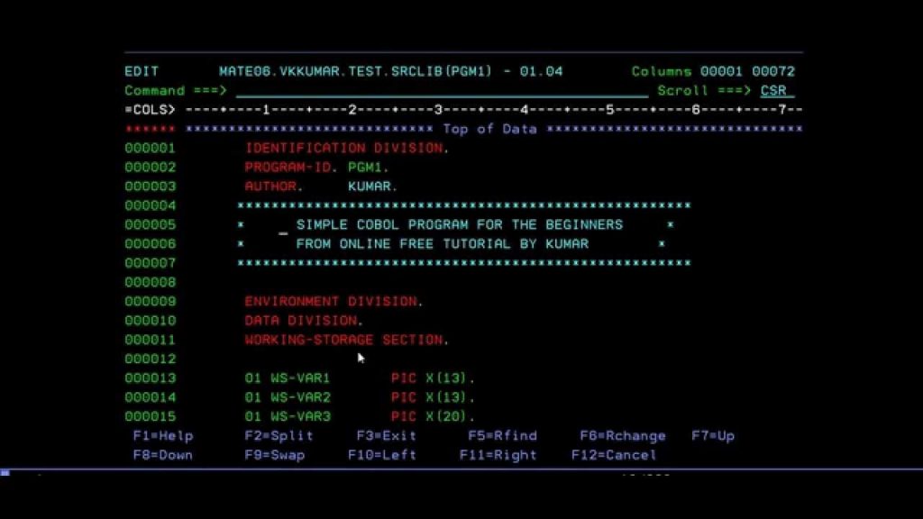 COBOL Programlama Dili Nedir? Nerelerde Kullanılır? » TechWorm