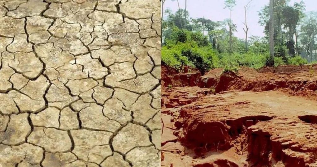 Erozyon Nedir? Erozyon Nedenleri ve Önleme Yolları Nelerdir? » TechWorm